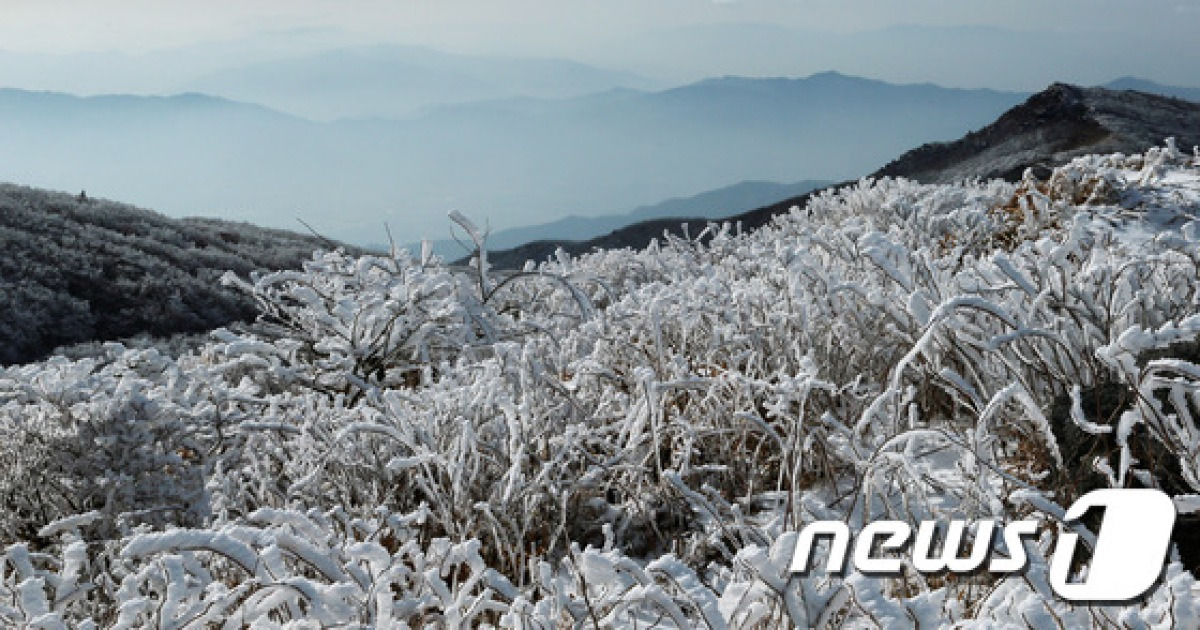 지리산 노고단에 펼쳐진 설경