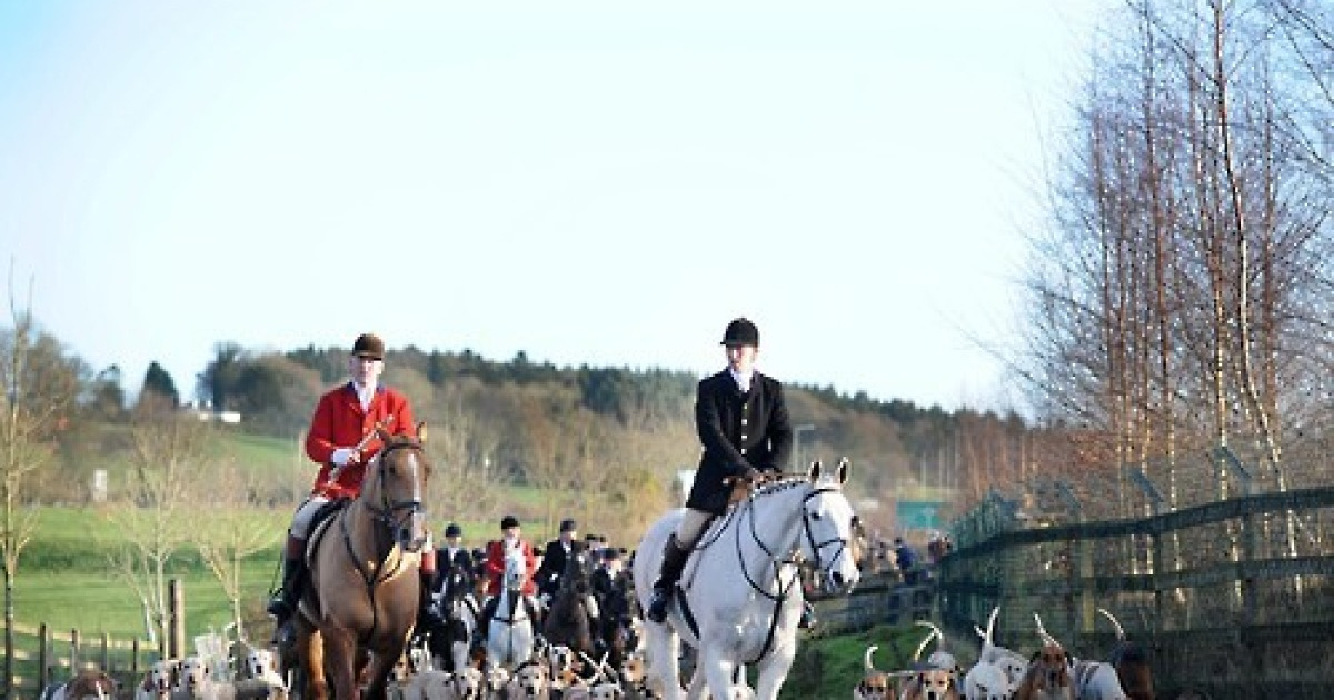 IRELAND FOXHUNTING