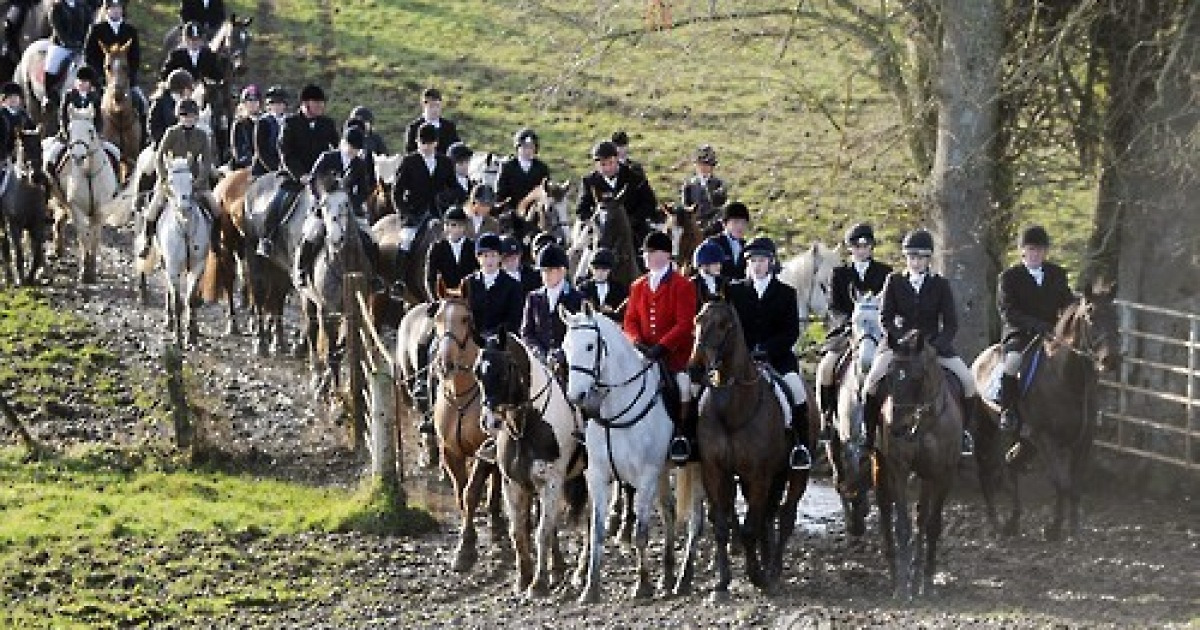 IRELAND FOXHUNTING