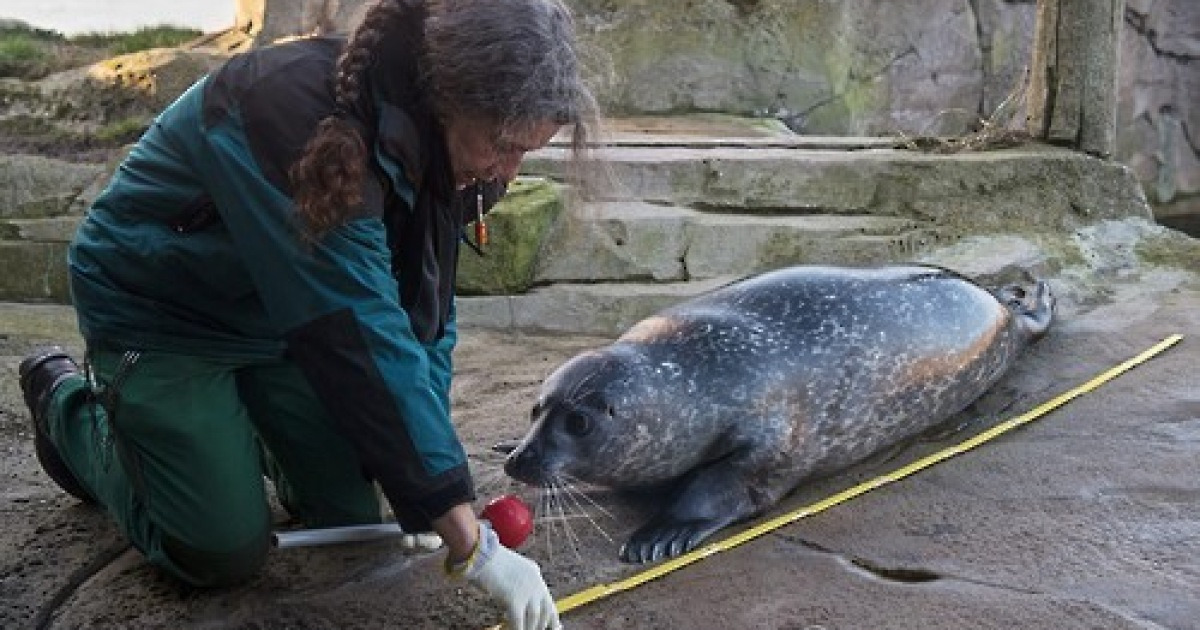GERMANY ANIMALS ZOO INVENTORY