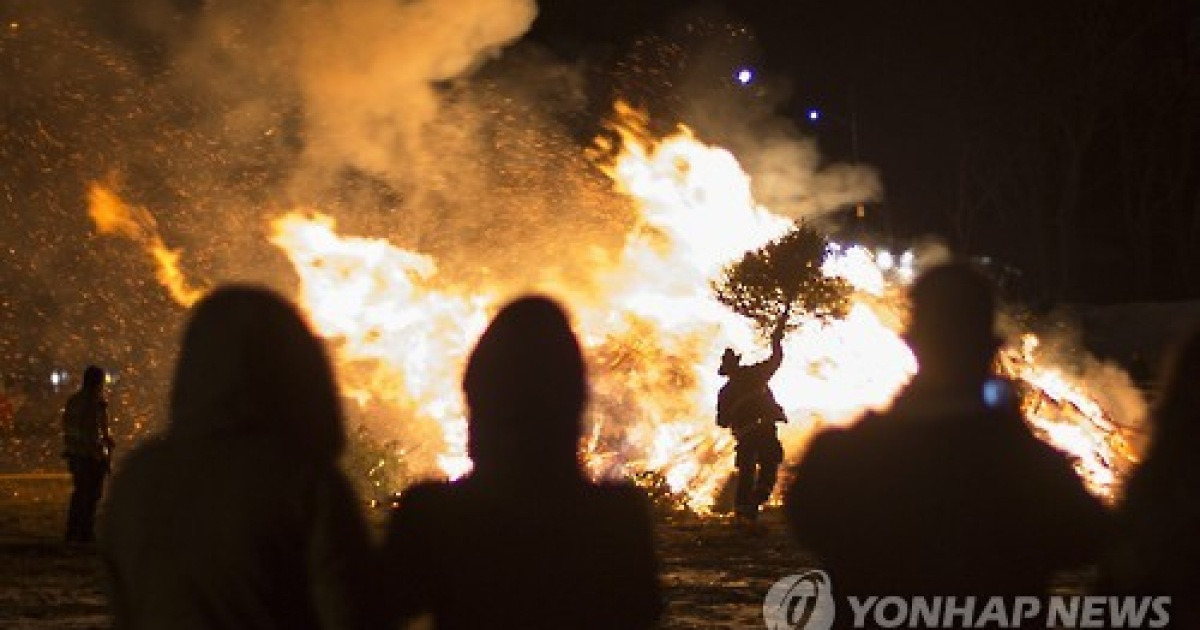 epaselect USA CHRISTMAS TREE BONFIRE