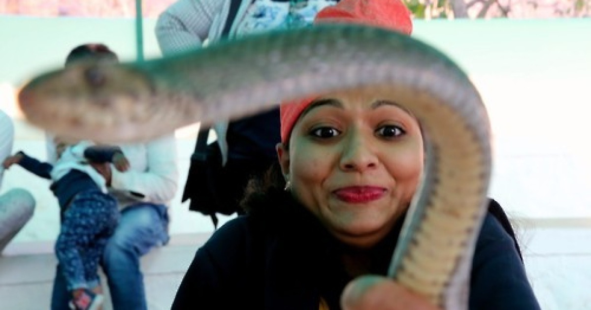 INDIA SNAKES AWARENESS SHOW