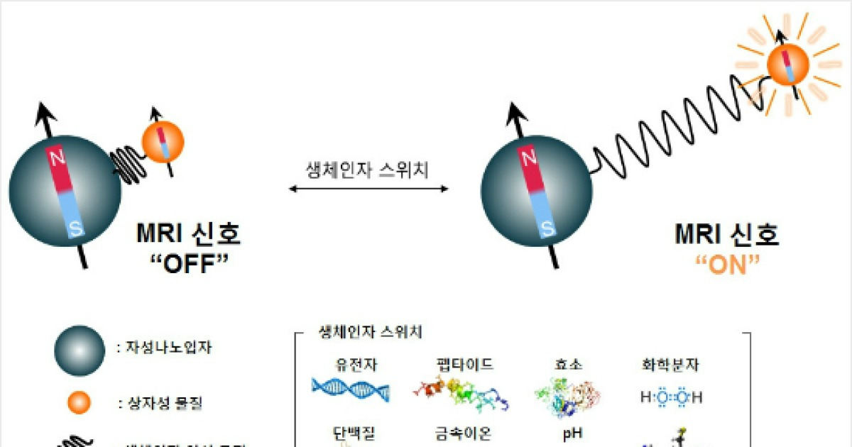 IBS, 병든 세포만 밝게..'나노 MRI 램프' 개발