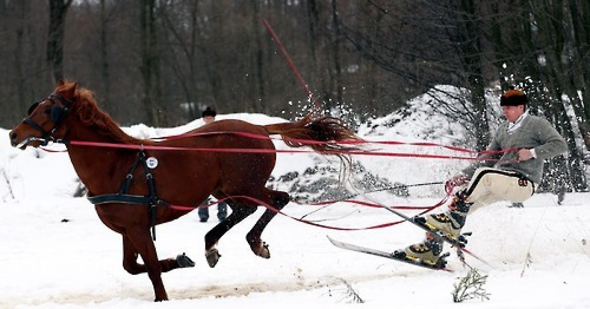 POLAND HIGHLANDER CARNIVAL RACE
