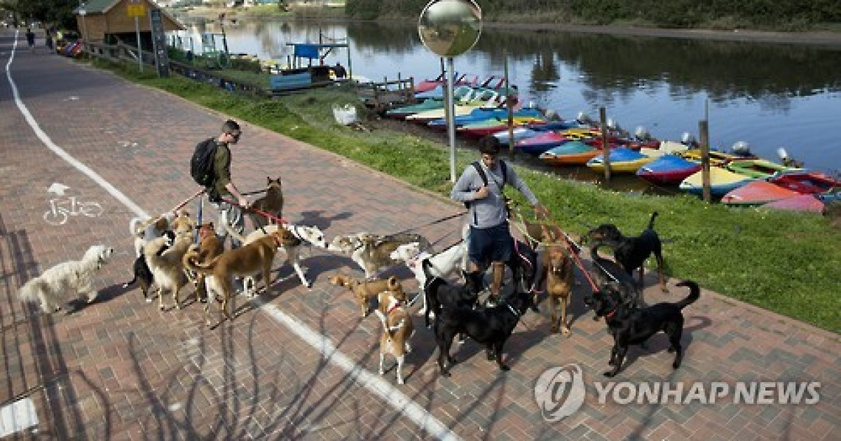 ISRAEL FEATURE PACKAGE TEL AVIV DOGS