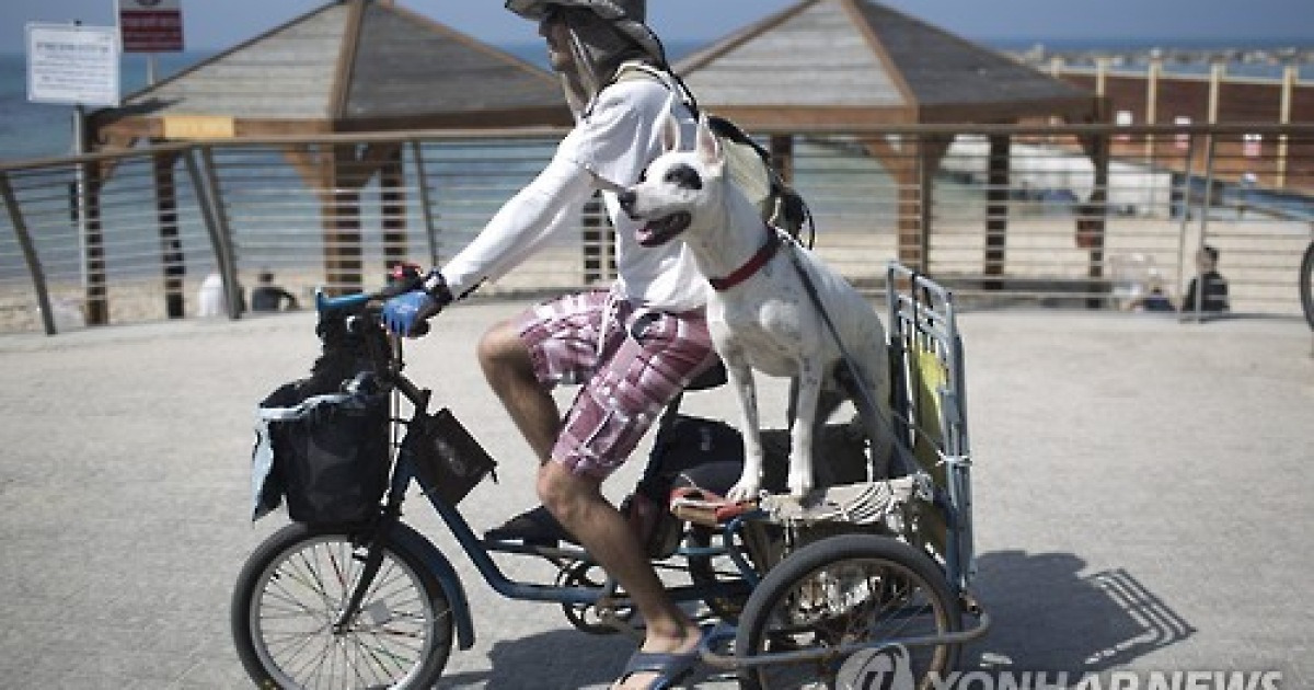 ISRAEL FEATURE PACKAGE TEL AVIV DOGS