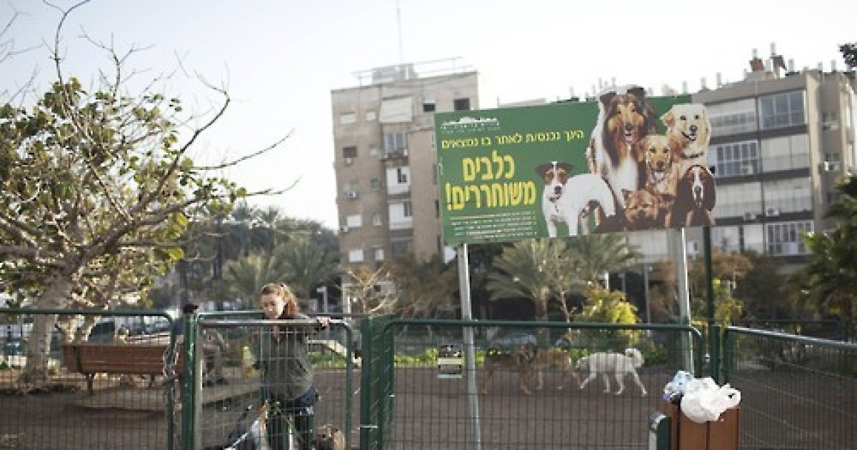 ISRAEL FEATURE PACKAGE TEL AVIV DOGS