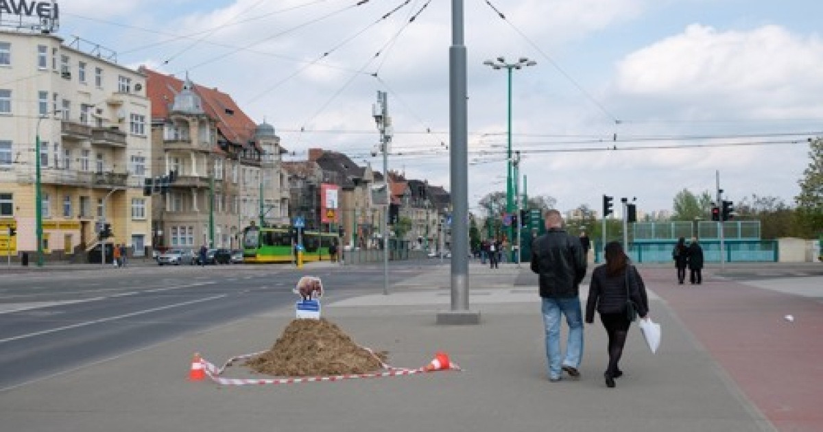 POLAND ENVIRONMENT CAMPAIGN