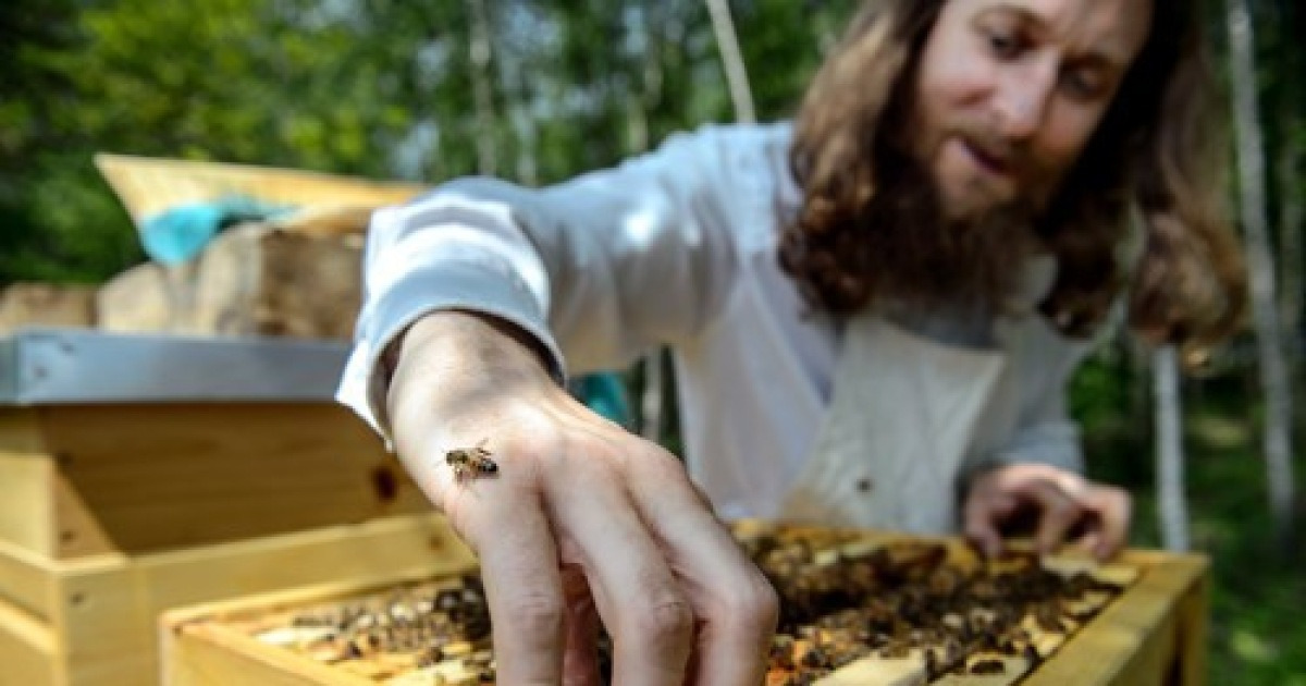 epaselect POLAND BEES