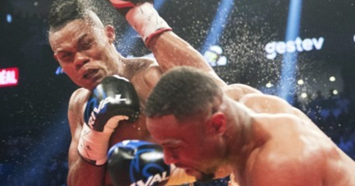 Alvarez Pascal Boxing