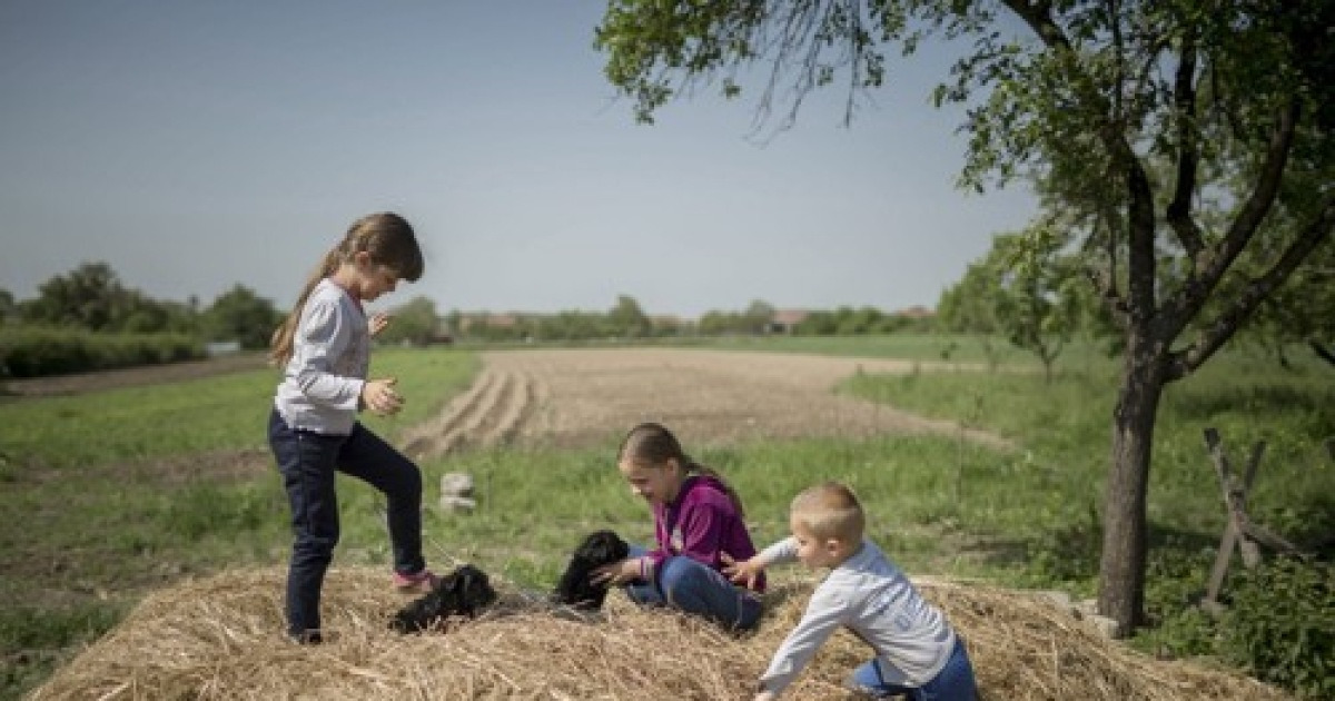 UKRAINE PHOTO SET EVERYDAY LIFE TRANSCARPATHIA