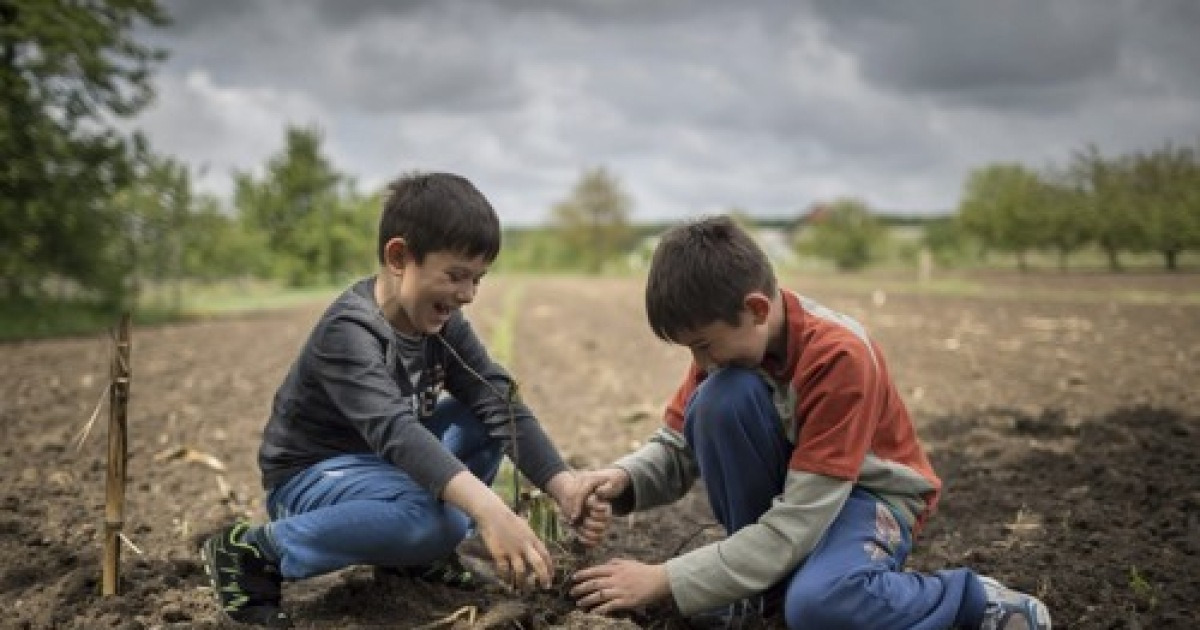 UKRAINE PHOTO SET EVERYDAY LIFE TRANSCARPATHIA