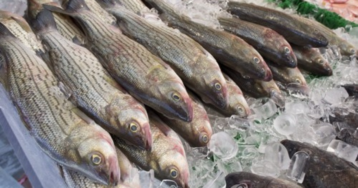 USA GASTRONOMY FISH MARKET SEAFOOD