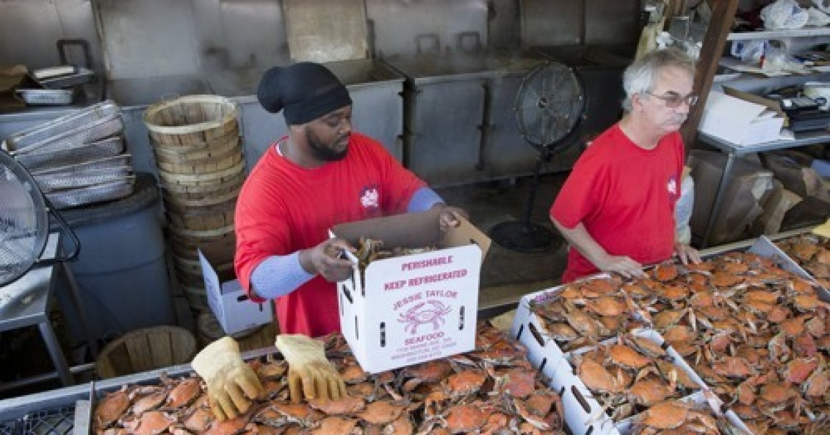 USA GASTRONOMY FISH MARKET SEAFOOD