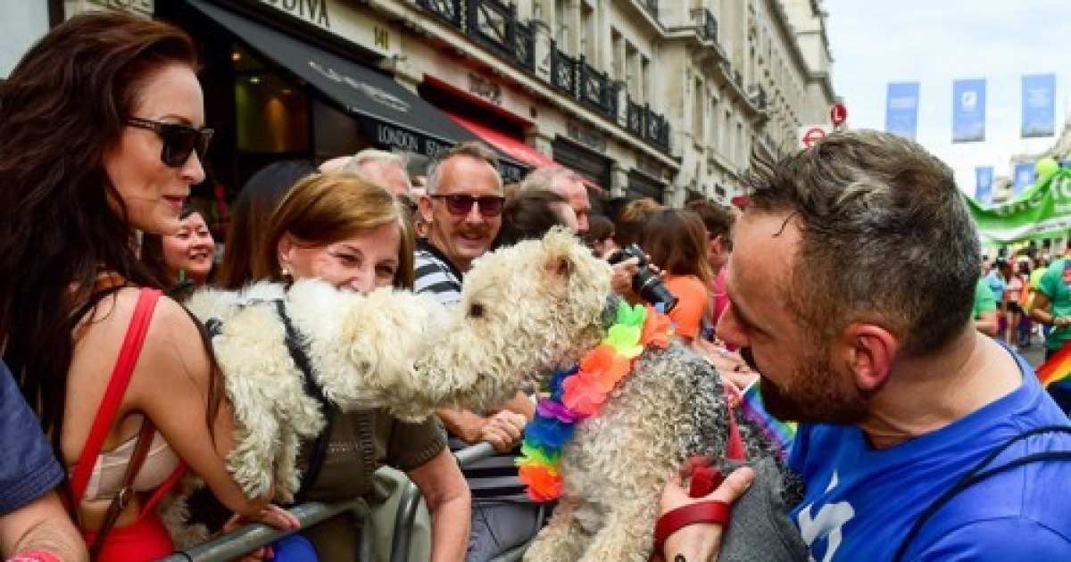 BRITAIN HUMAN RIGHTS