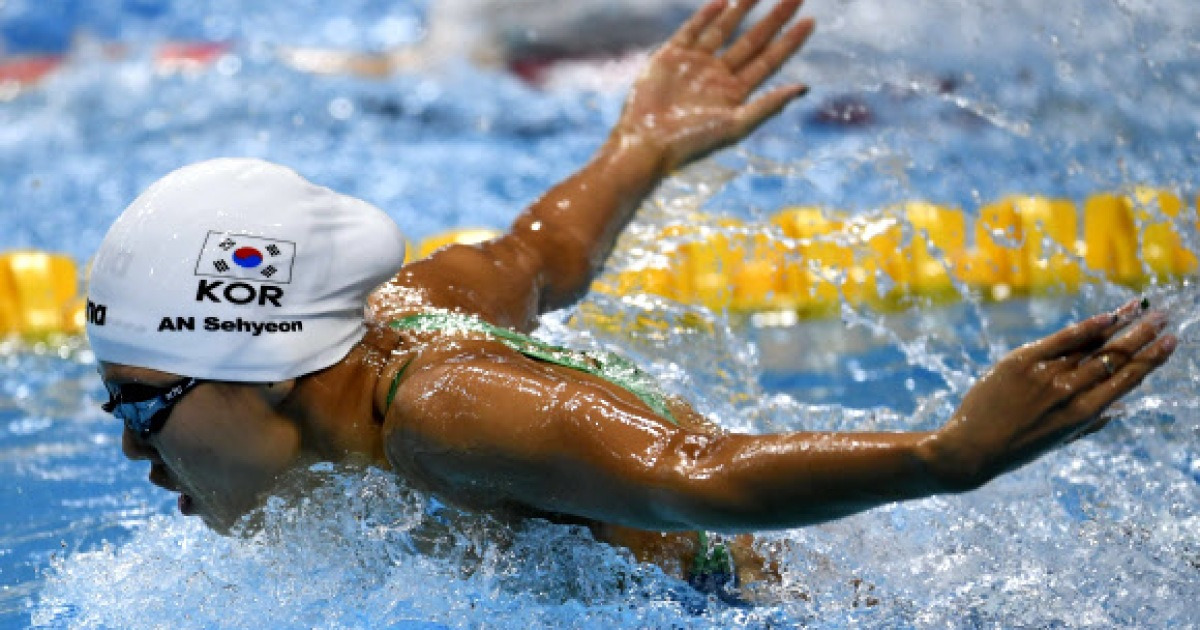 안세현 '폭풍물살'..접영 200m도 결선행