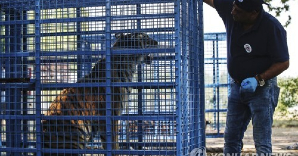Turkey Syria Zoo Photo Gallery