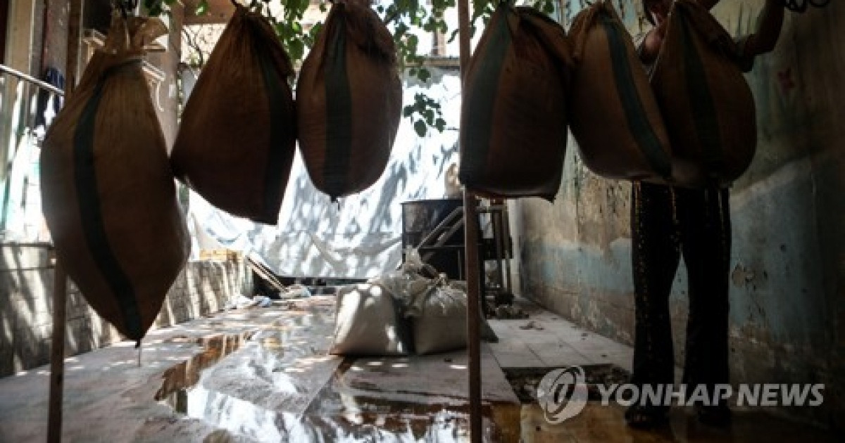 SYRIA MUSHROOM GROWING