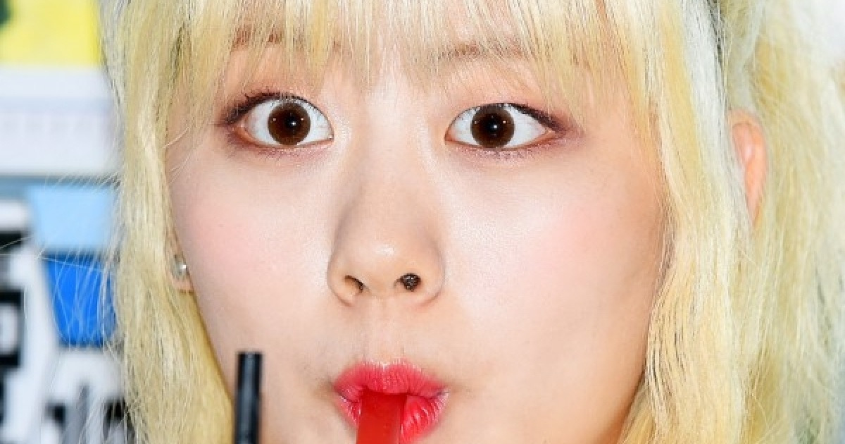 위키미키 루아 아니 이 맛은