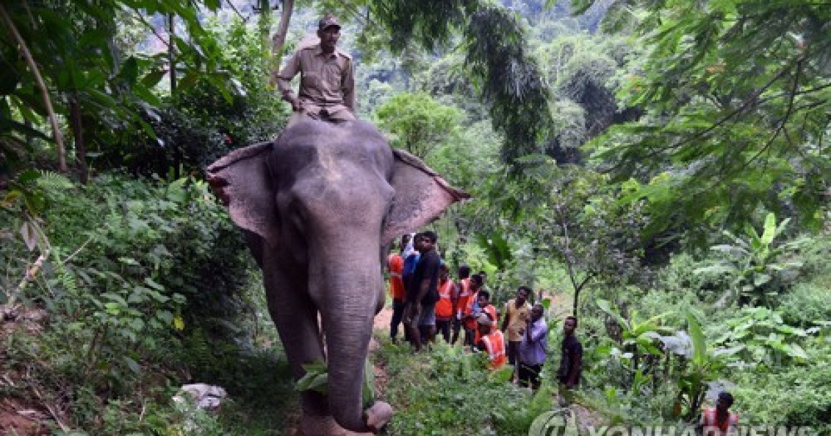 INDIA WILDLIFE SANCTUARY