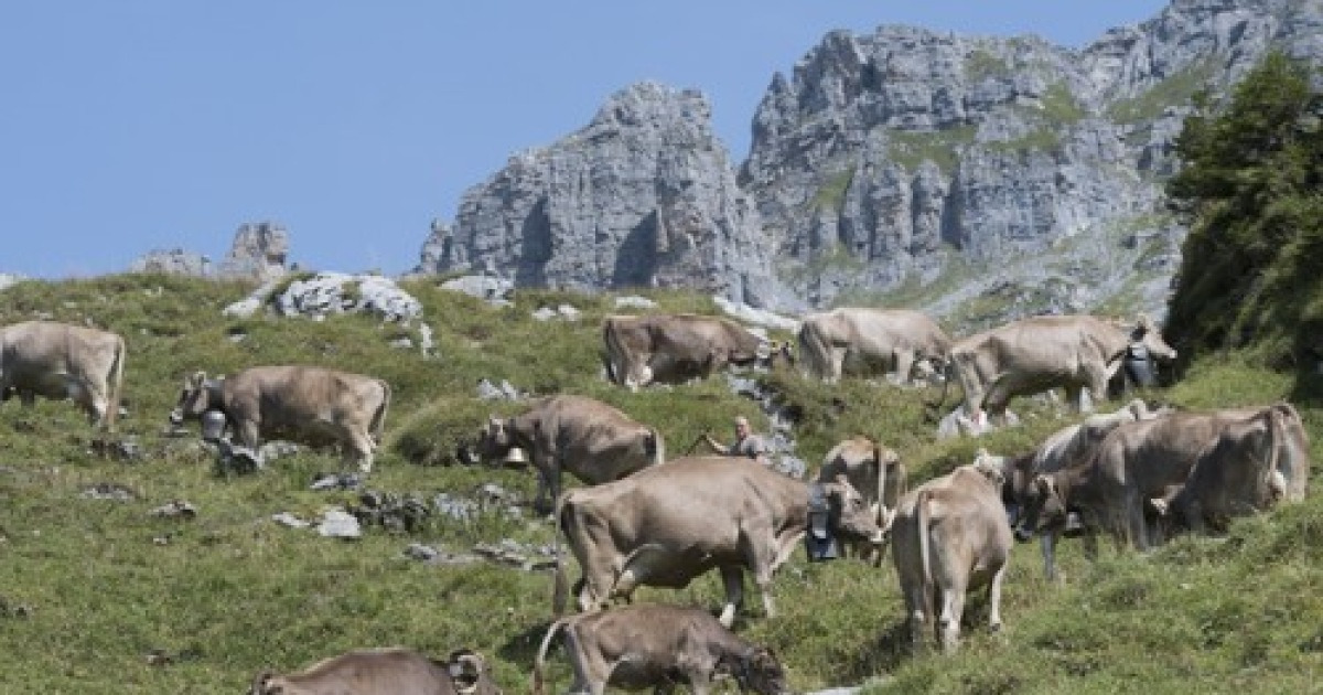 SWITZERLAND AGRICULTURE CULTURE