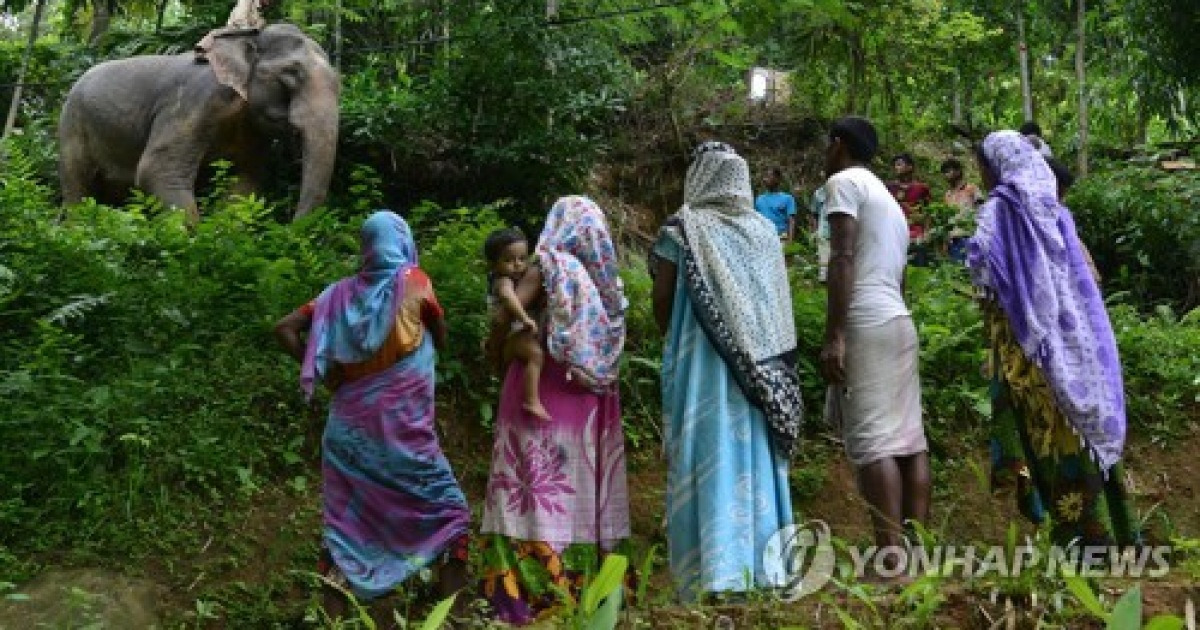 INDIA WILDLIFE SANCTUARY