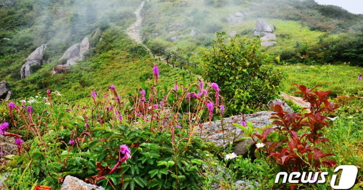 가을 맞이한 지리산