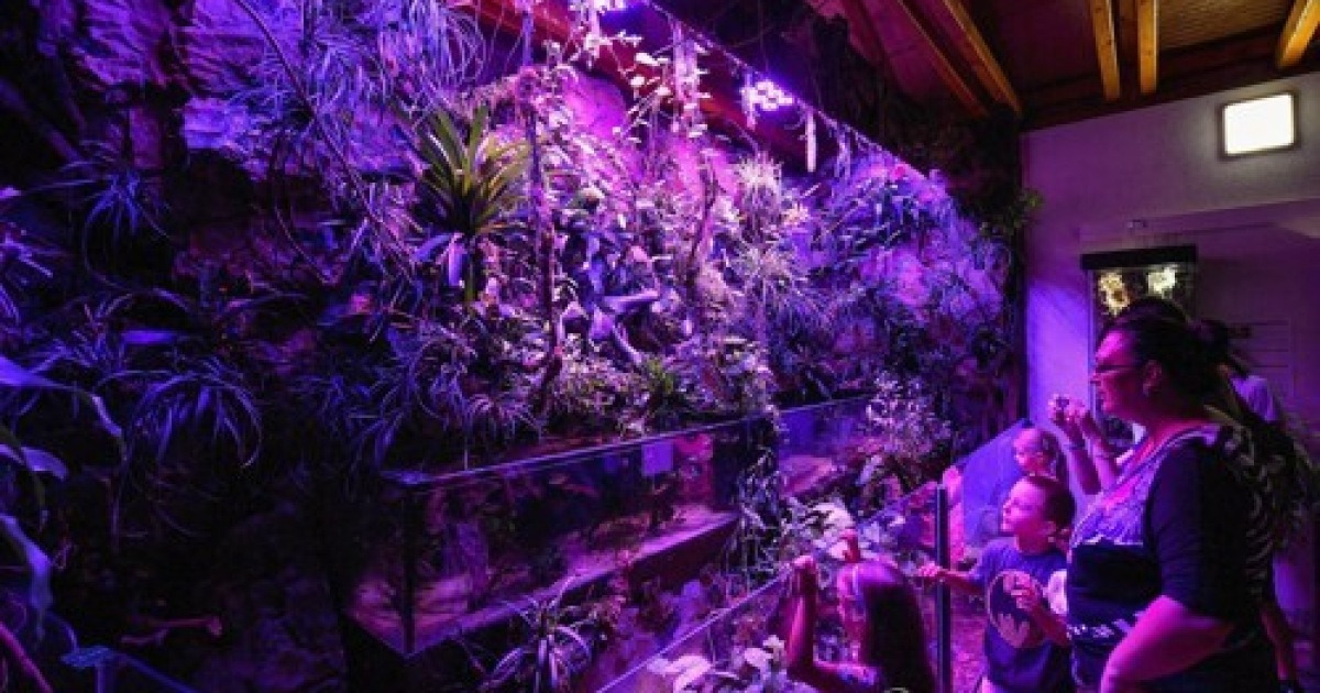 HUNGARY NIGHT OF ZOOS