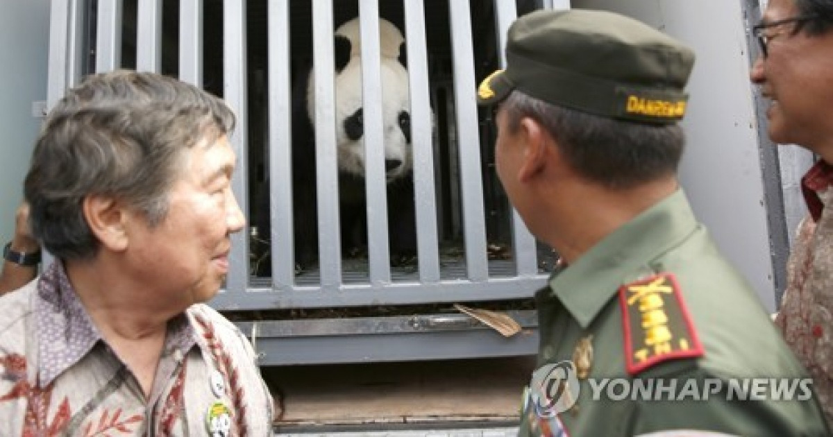 INDONESIA CHINA PANDAS