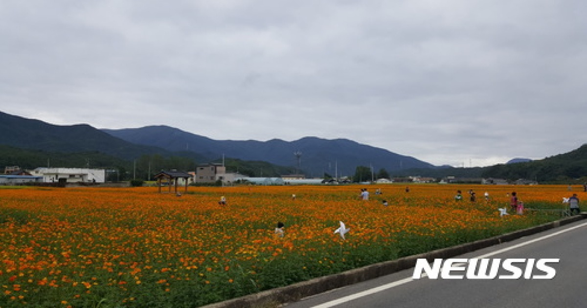 울산 대표 한우불고기축제 봉계 일원에서 개막 
