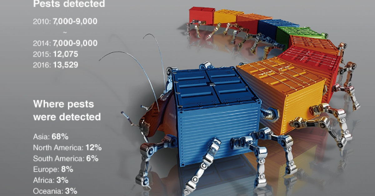 [Graphic News] Interceptions of exotic insects grow