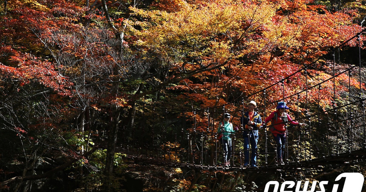 지리산 피아골 단풍산행