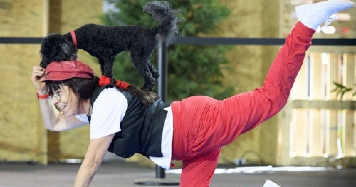 SWITZERLAND DOG AND CAT SHOW