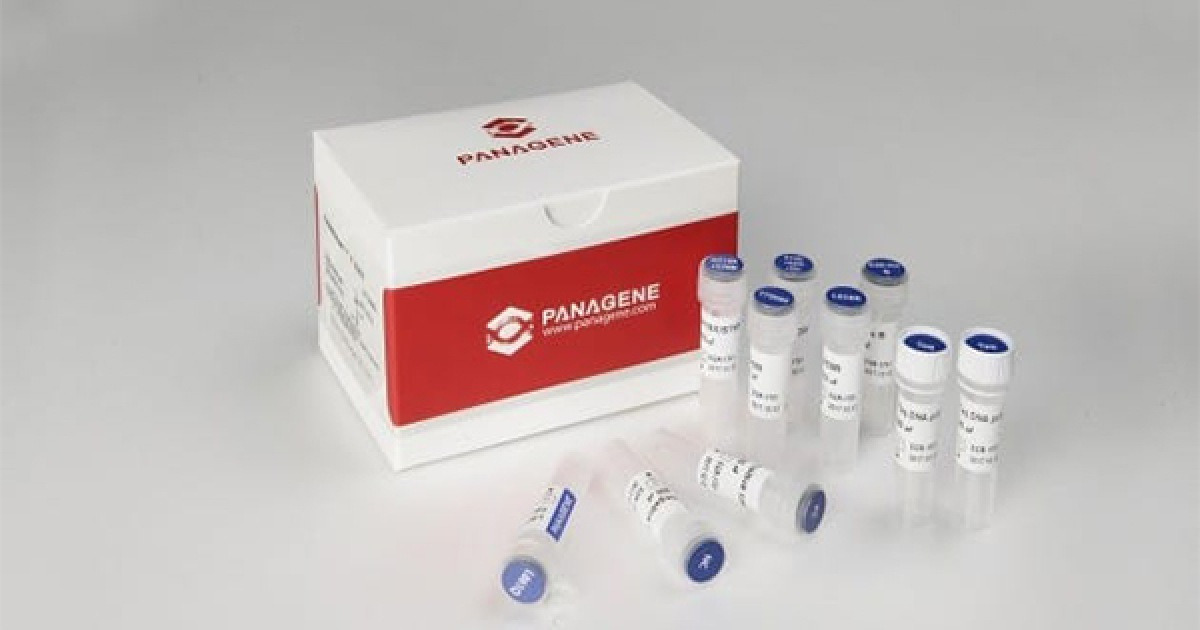 Panagene seeks to expand overseas with new cancer diagnostics technology