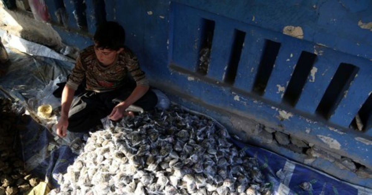 AFGHANISTAN NASWAR DRUG