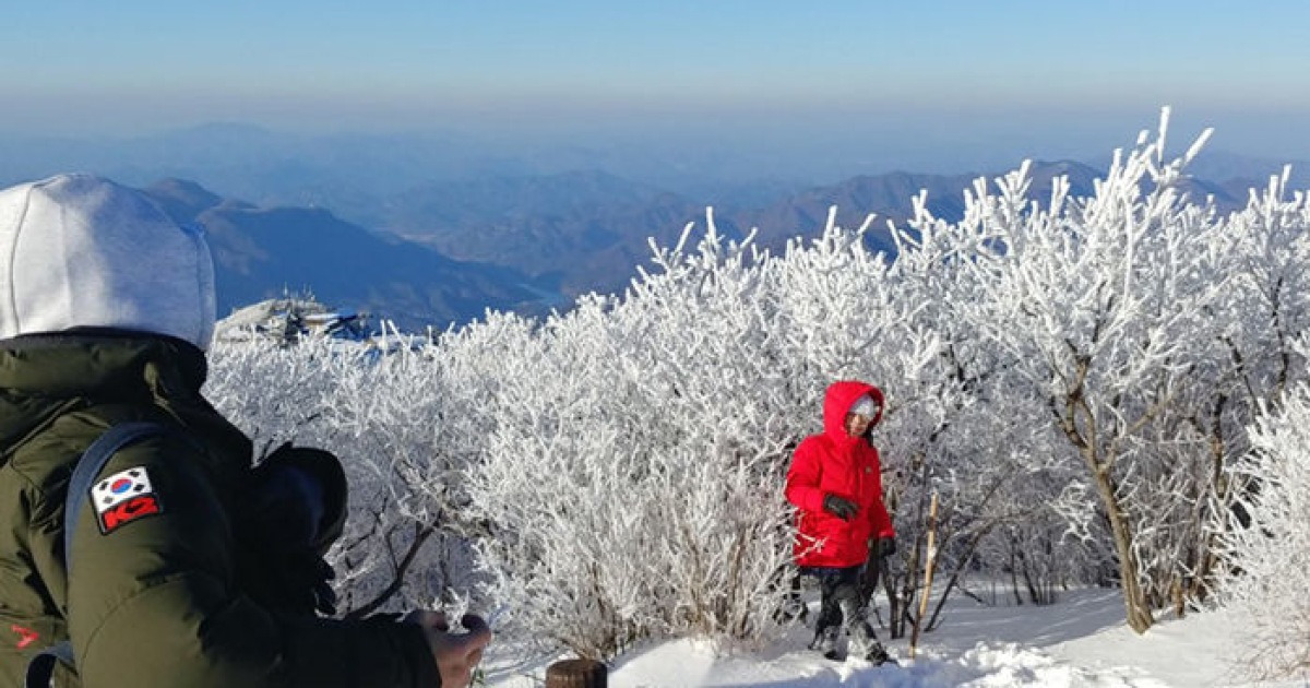 [슬라이드 포토] 눈꽃 앞에서 '찰칵'..순백색 겨울산 풍경
