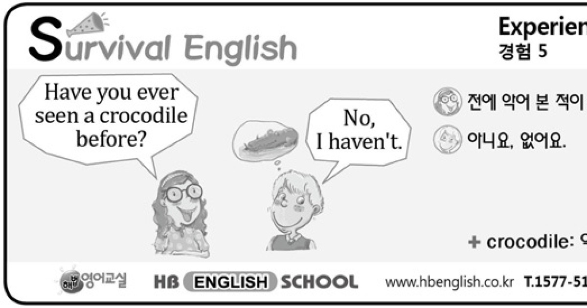 [Survival English]경험 5
