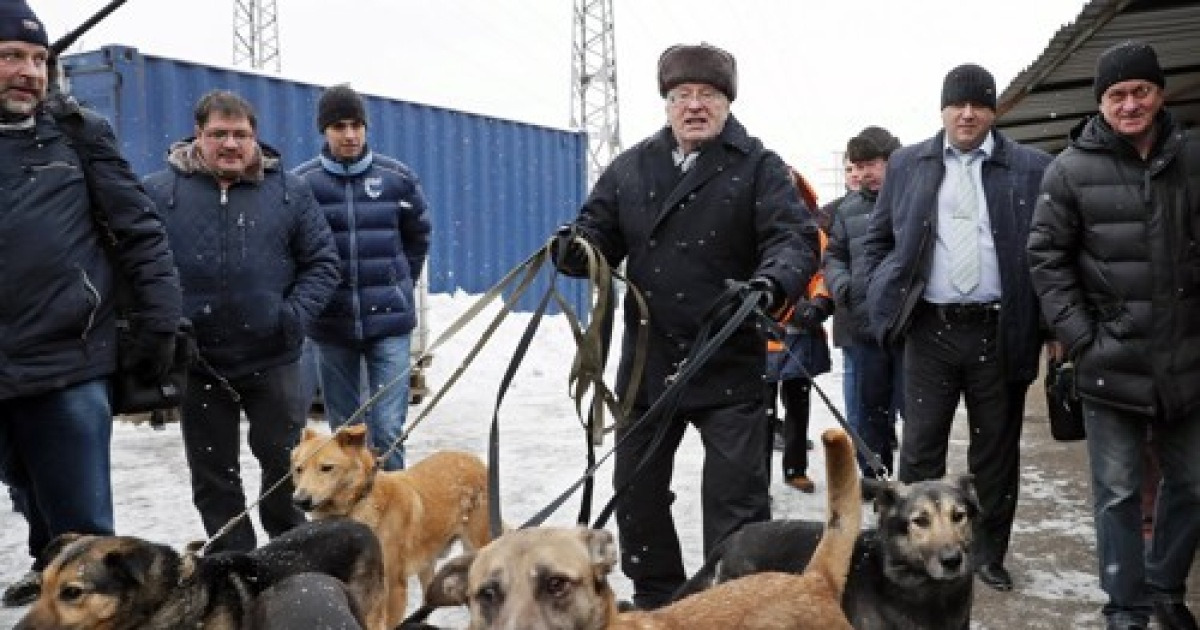 RUSSIA STRAY DOGS SHELTER