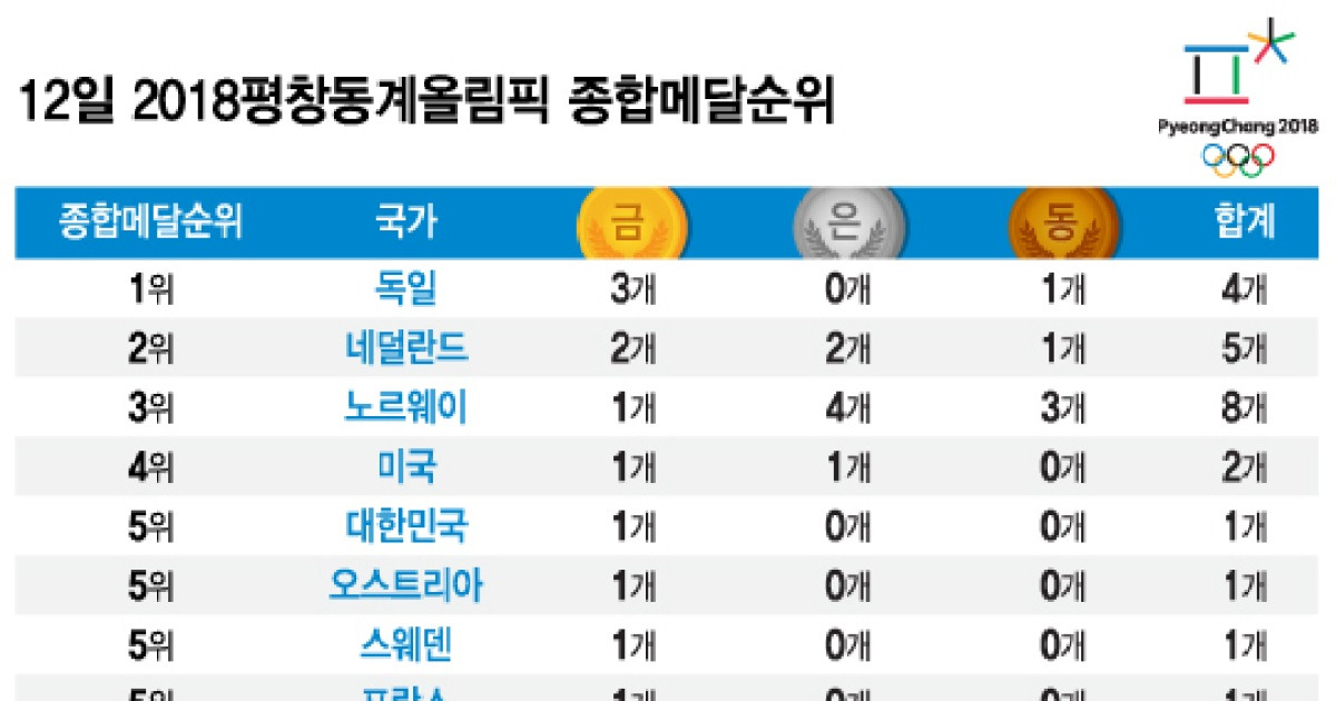 평창동계올림픽 종합메달 순위