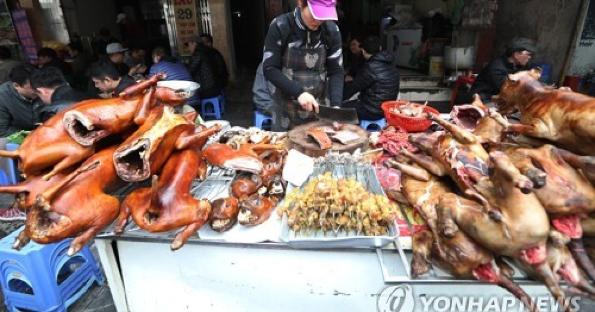 VIETNAM DOG MEAT