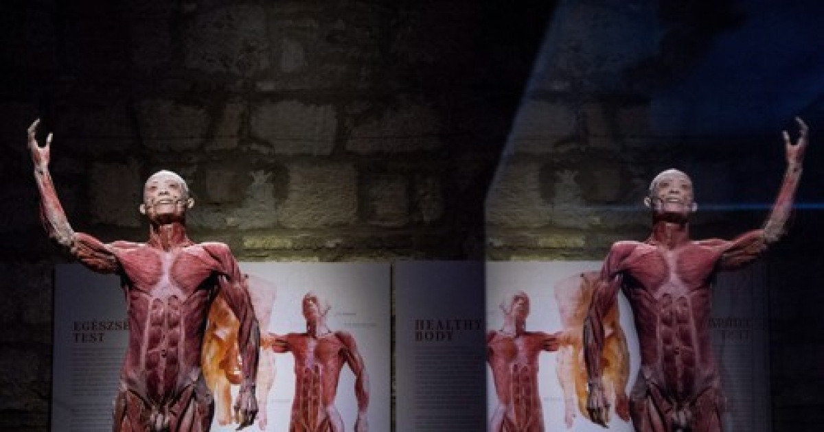 HUNGARY BODY EXHIBITION