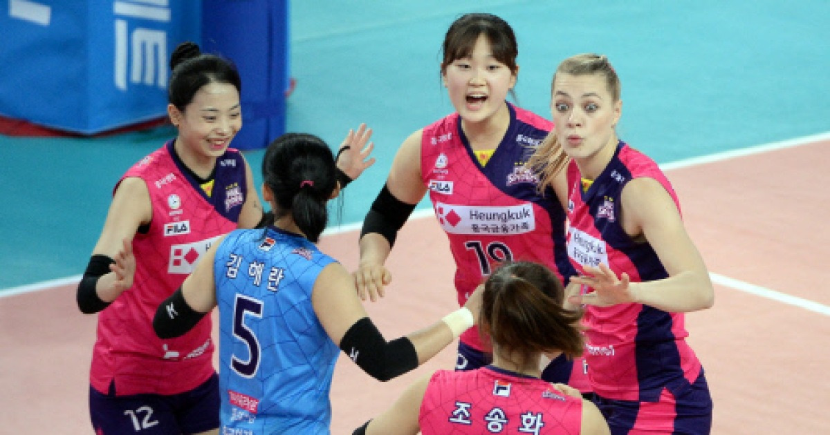 흥국생명, 갈 길 바쁜 IBK기업은행에 '고춧가루'..한국도로공사 '안도'