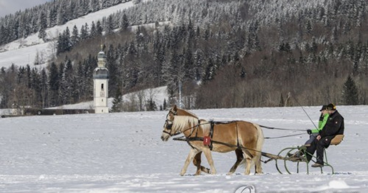 Germany Horse Racing