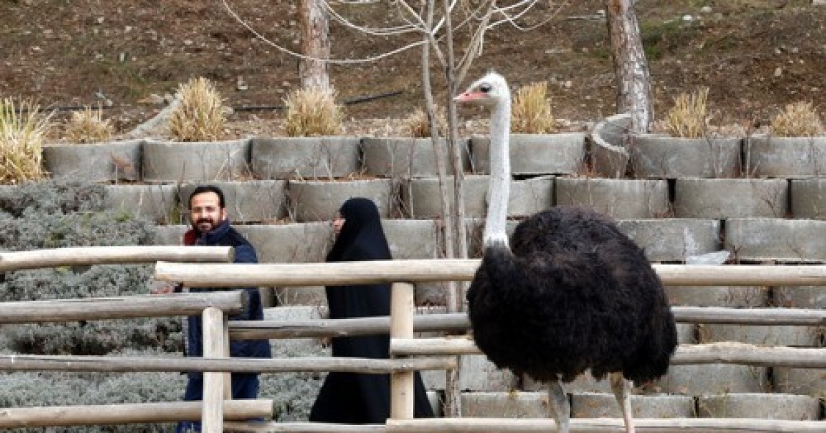 IRAN BIRD GARDEN