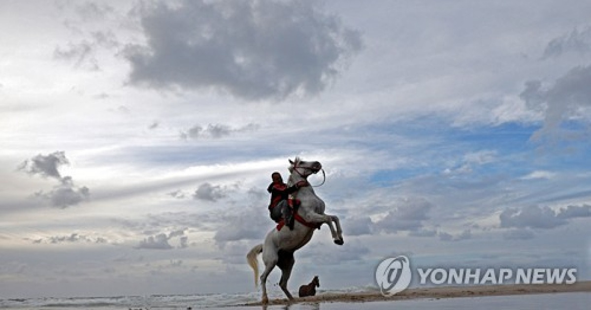 MIDEAST ISRAEL PALESTINIANS RIDE HORSES AND CAMEL DURING LOCAL C