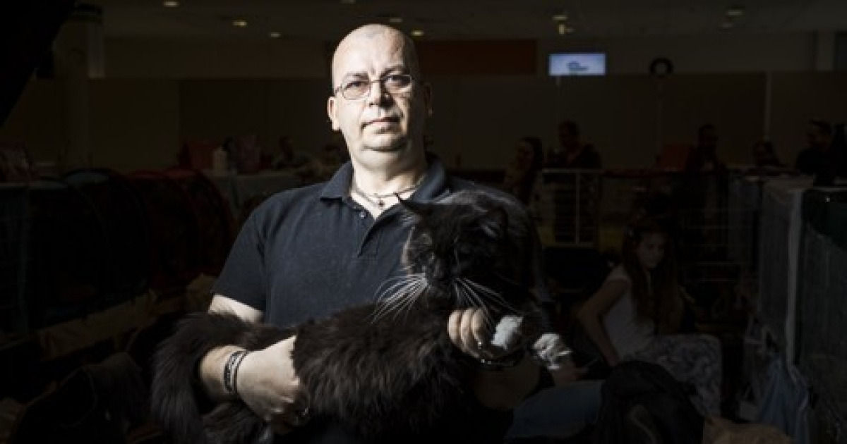 HUNGARY CAT SHOW