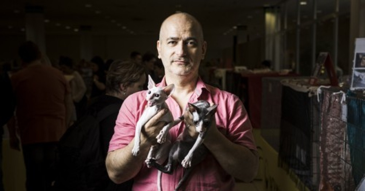 HUNGARY CAT SHOW