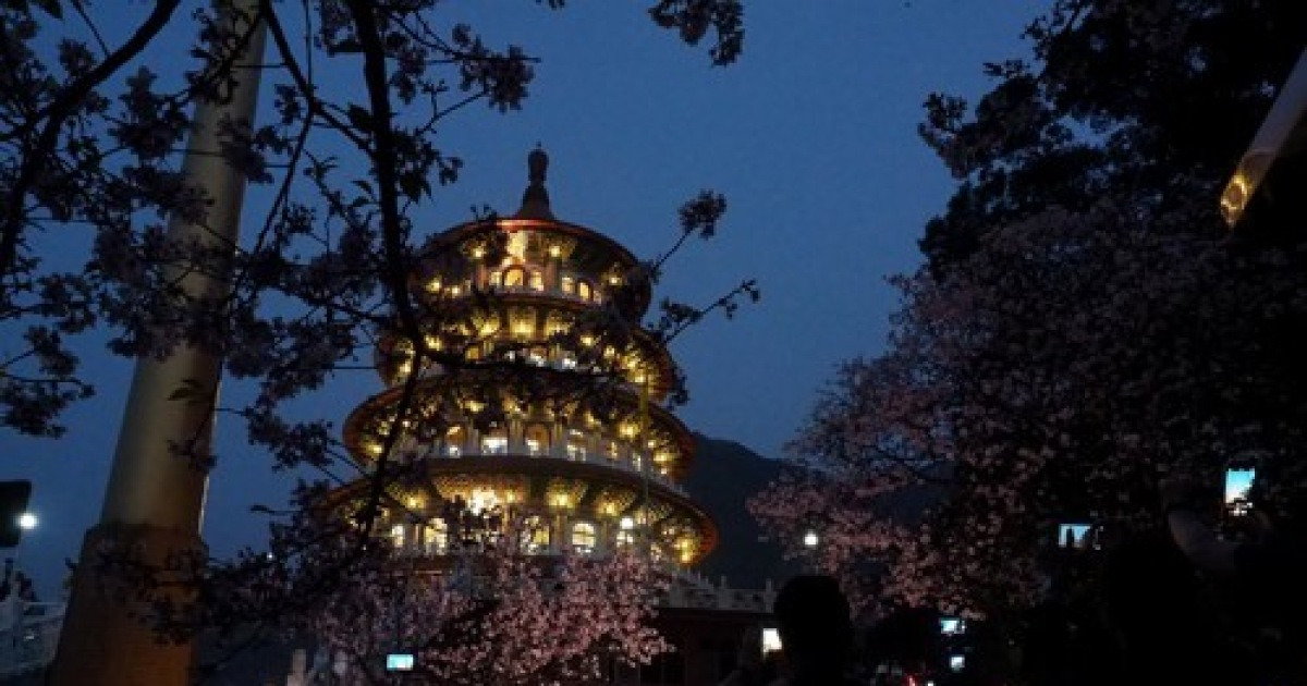 TAIWAN NATURE