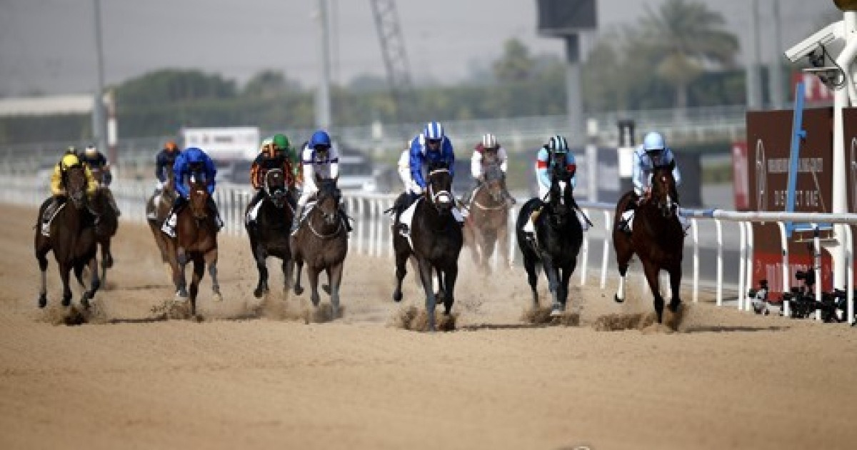 UAE HORSE RACING DUBAI WORLD CUP 2018