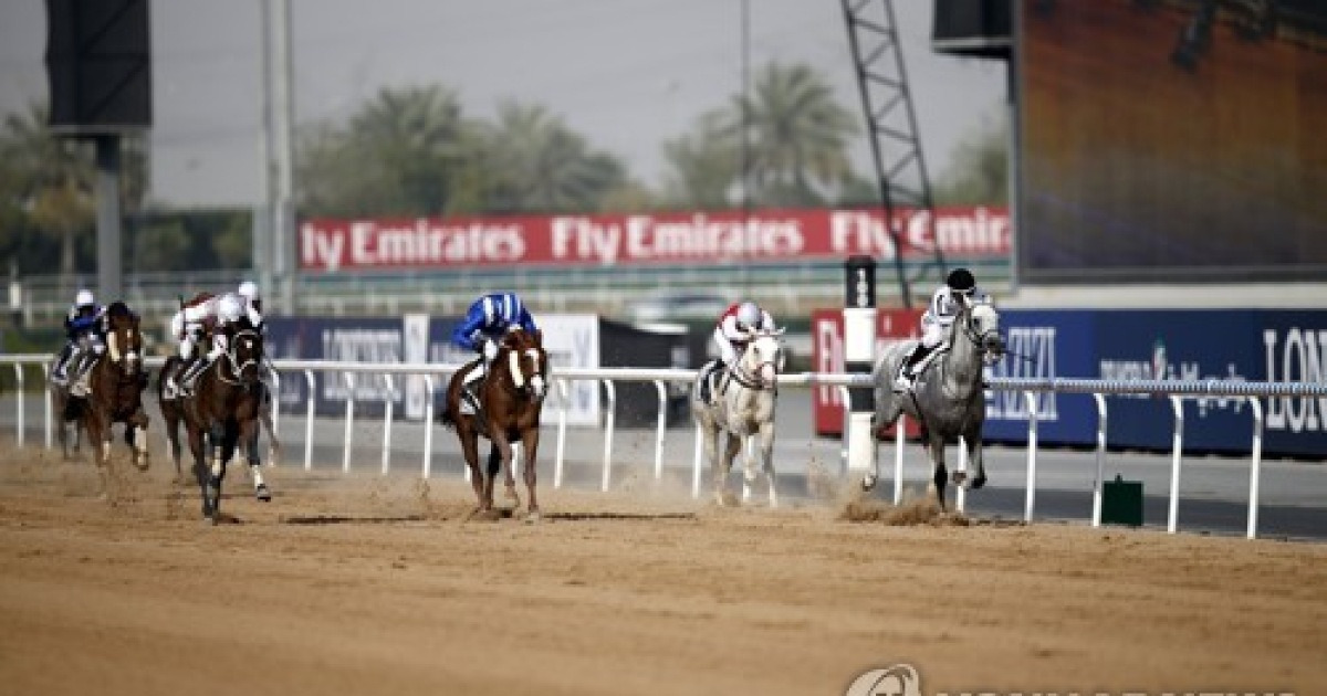 UAE HORSE RACING DUBAI WORLD CUP 2018
